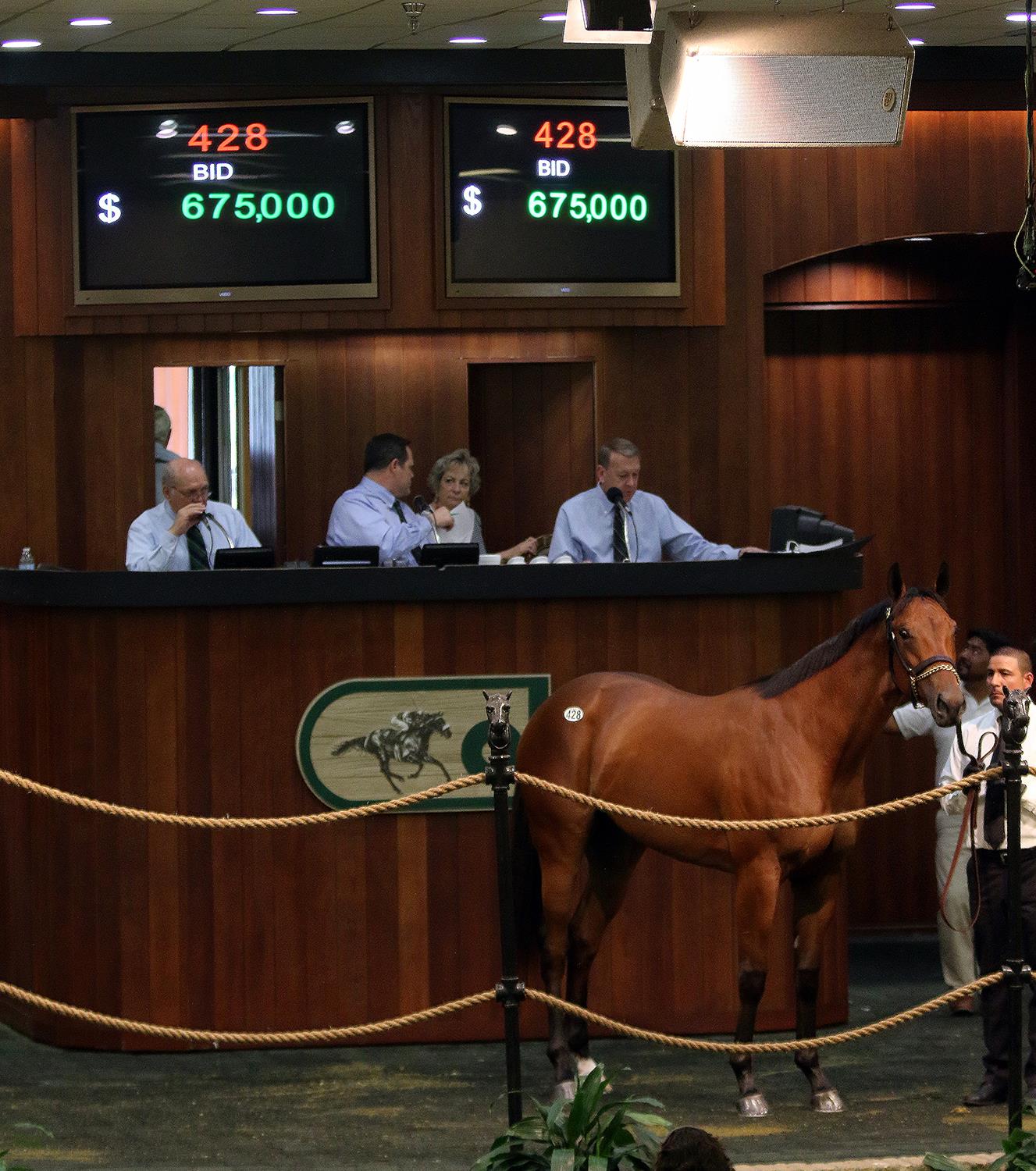 Adios Charlie - Ocala Stud Thoroughbred Stallion Farm