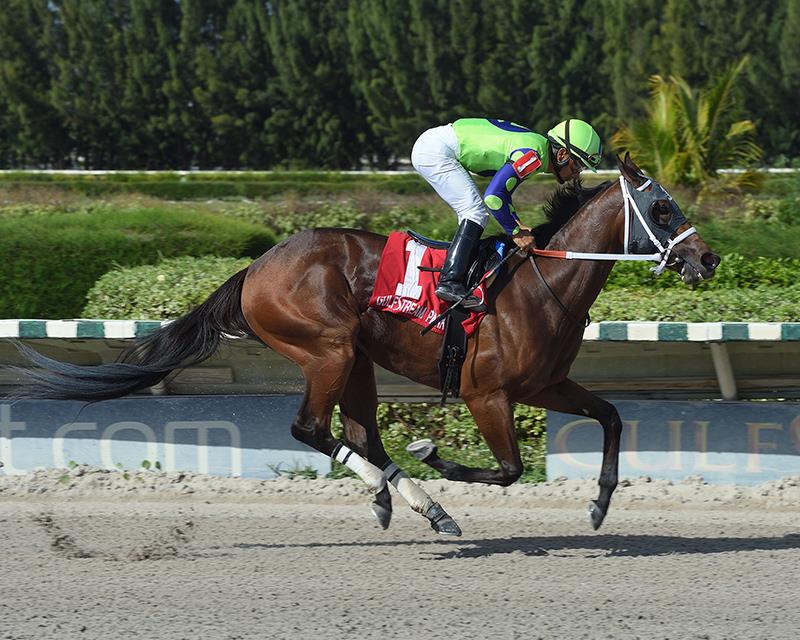 Adios Charlie - Ocala Stud Thoroughbred Stallion Farm