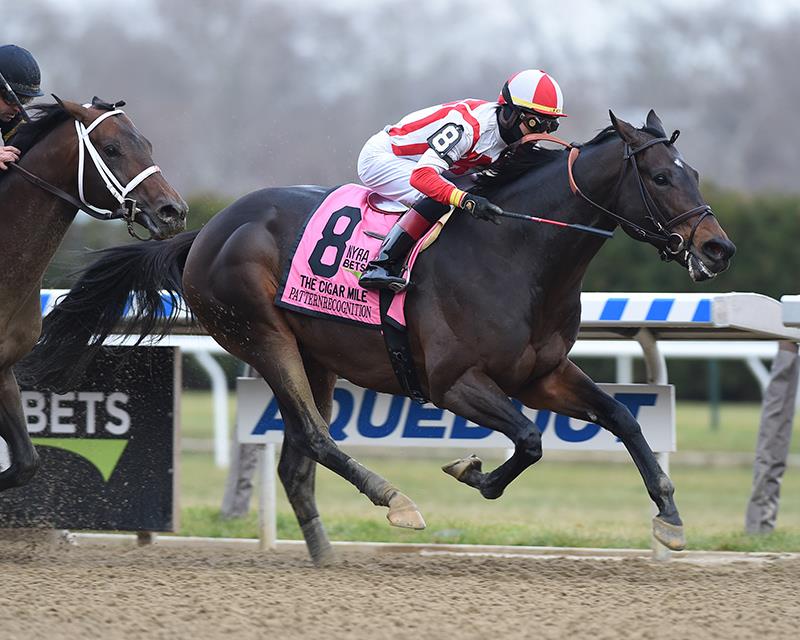 Adios Charlie - Ocala Stud Thoroughbred Stallion Farm